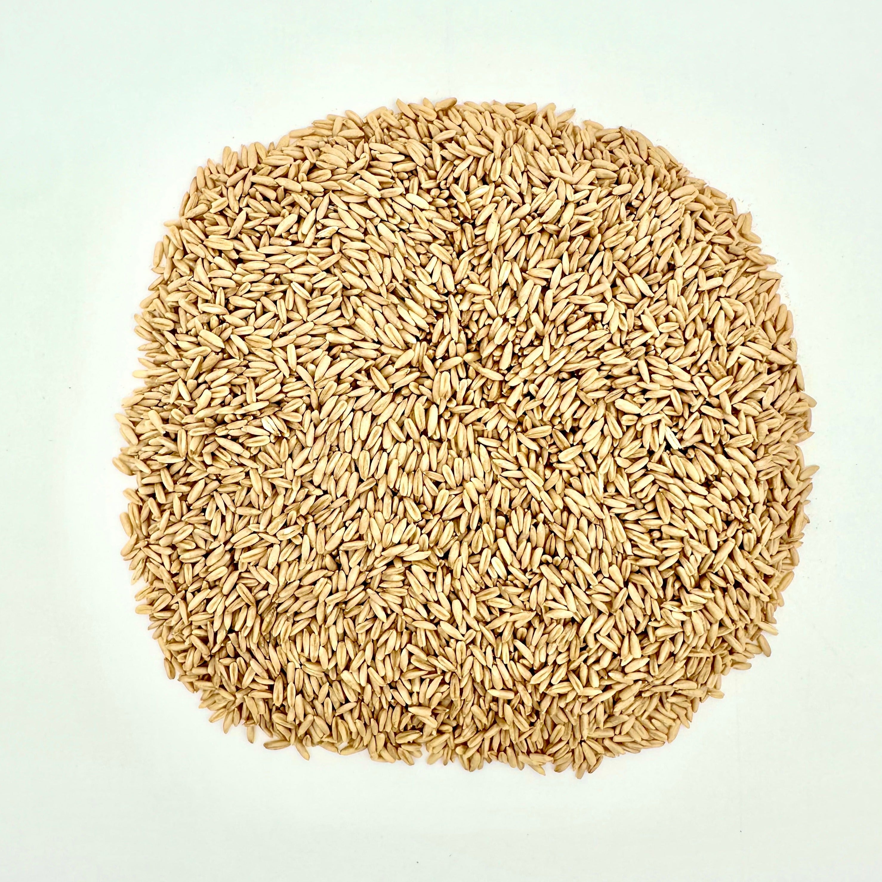 Oat Groats – WheatlandSeed.com