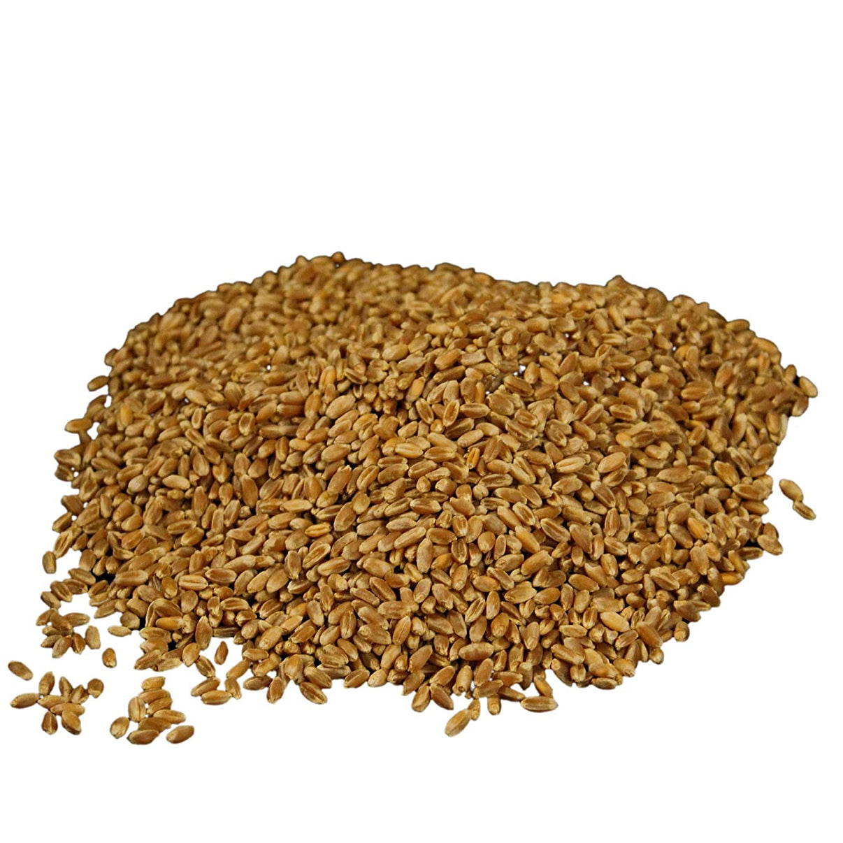 Wheatland™ Organic Hard Red Wheat Berries • 20lb Bucket, Sealed in Myl ...